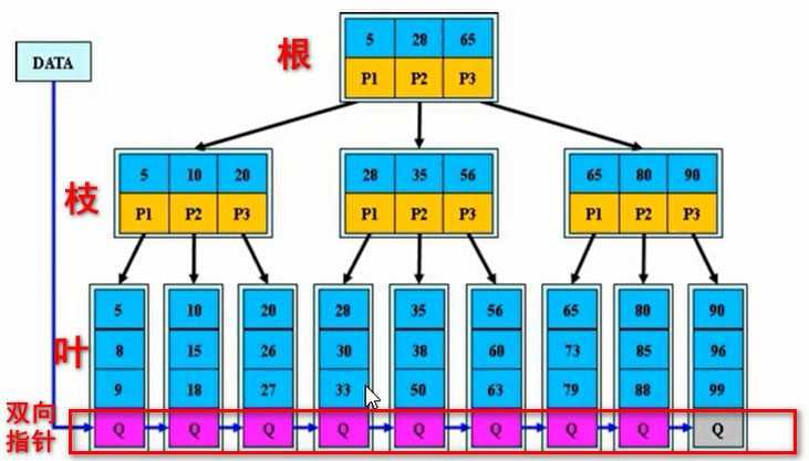 Mysql索引作用及种类和b树 Mysql学习笔记